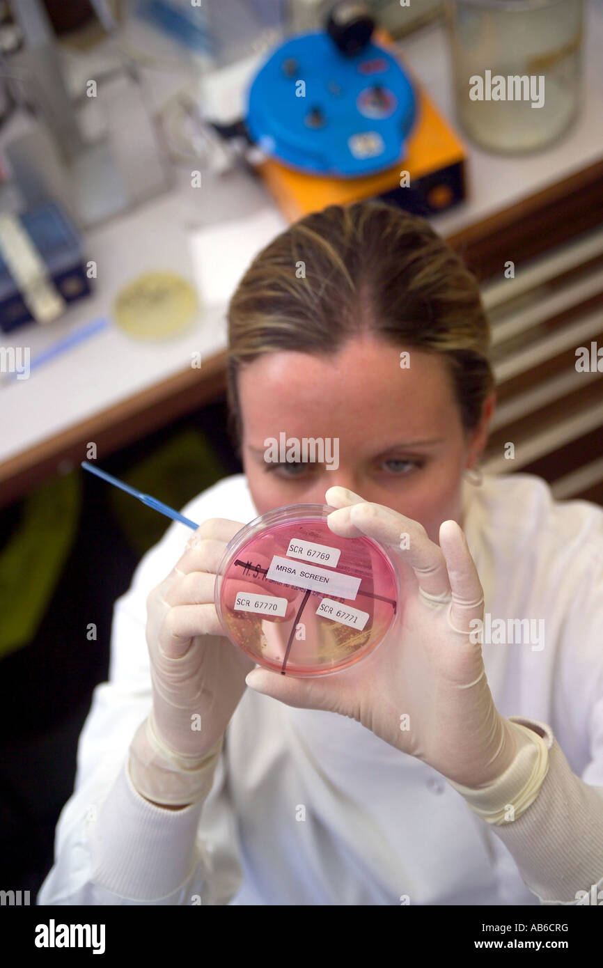 Mrsa bacteria wound hi-res stock photography and images - Alamy