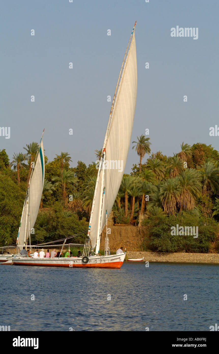 Two Feluccas, traditional wooden sailing boats on the River Nile Aswan ...