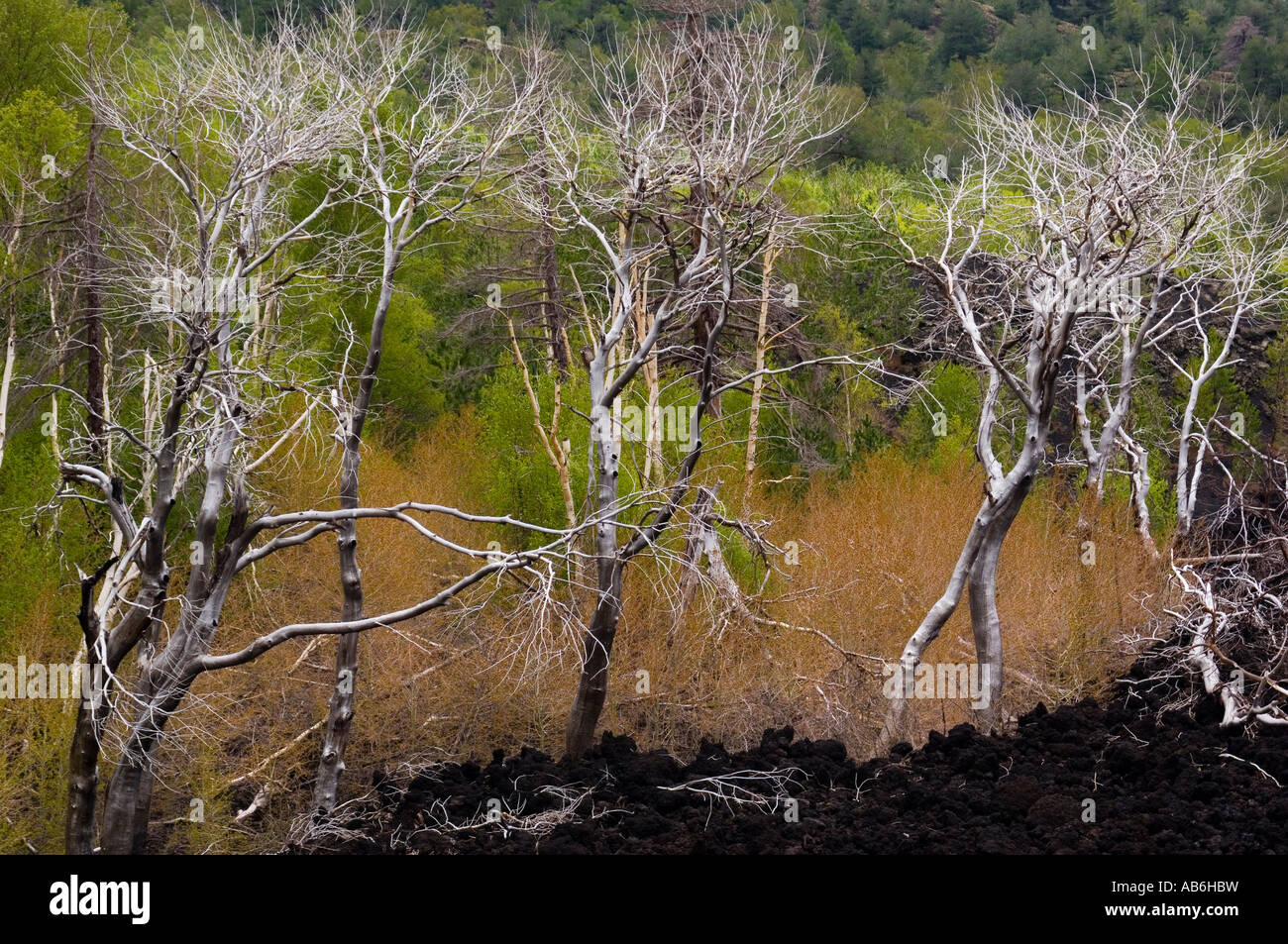 Vulcanology lava hi-res stock photography and images - Alamy