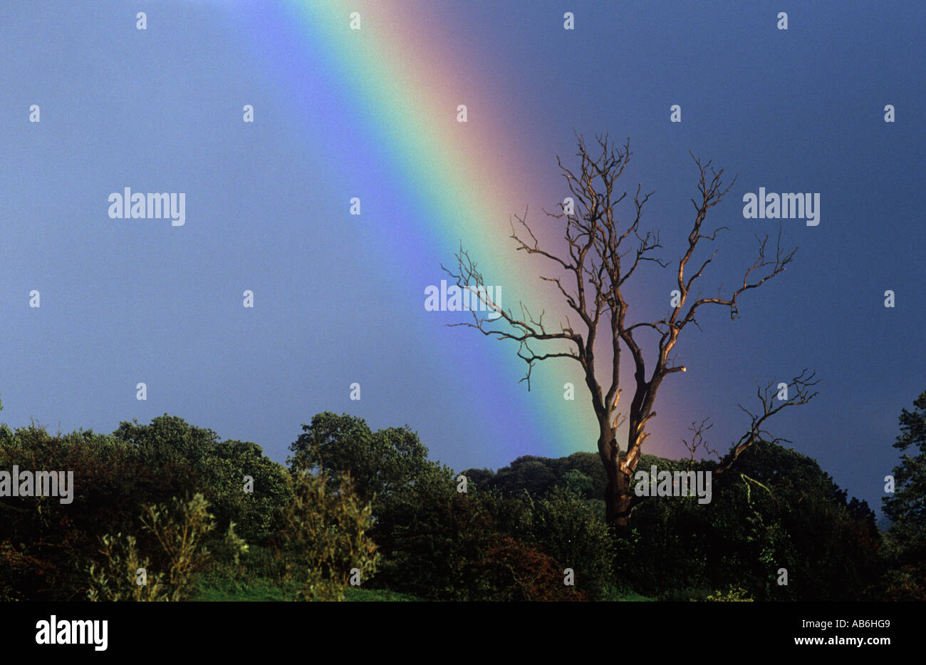 Noah and the rainbow hi-res stock photography and images - Alamy