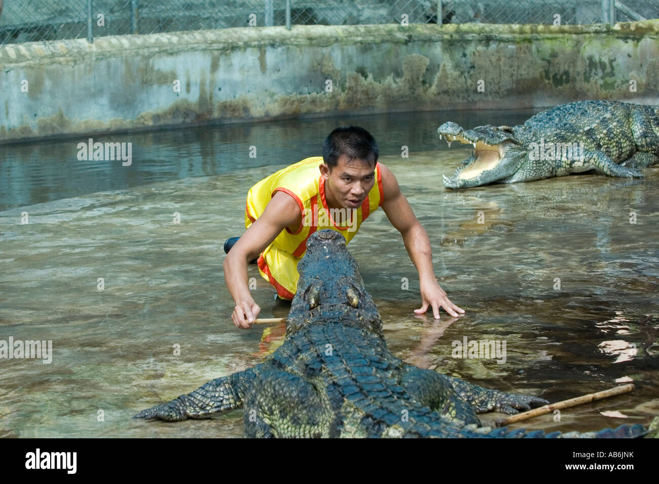 Show of crocodiles hi-res stock photography and images - Alamy