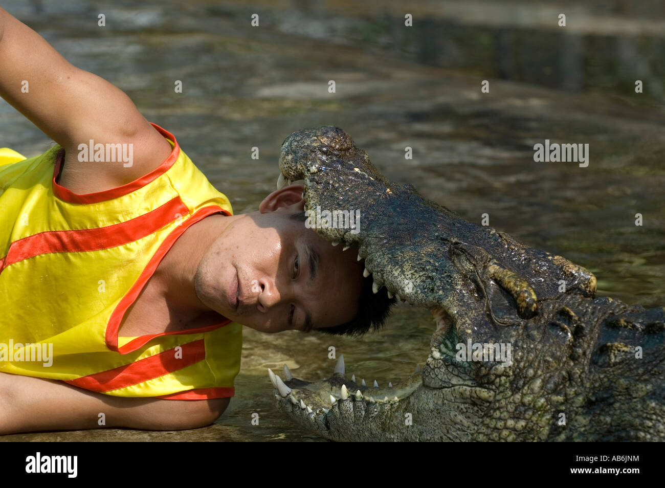 Boy puts head in mouth of crocodile in a show for tourists, Samui ...