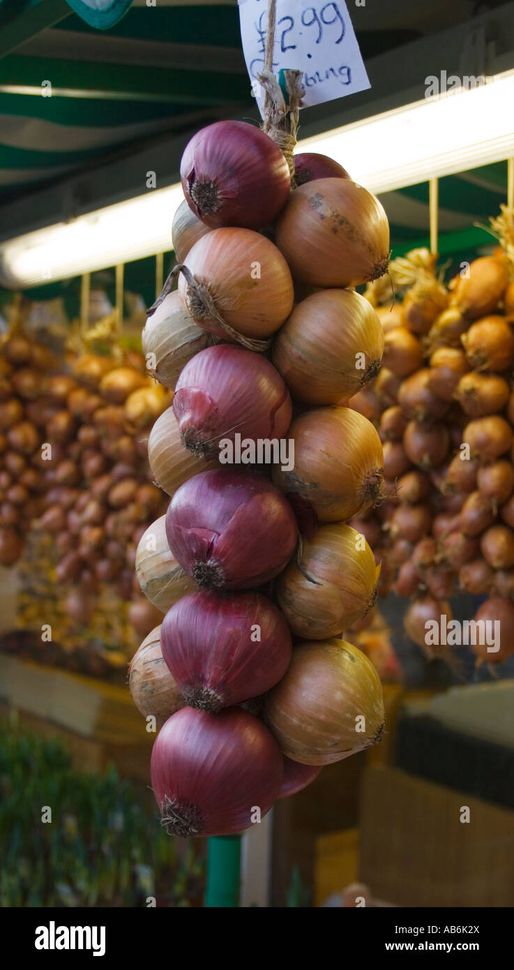 String of red onions on sale in English market Stock Photo - Alamy