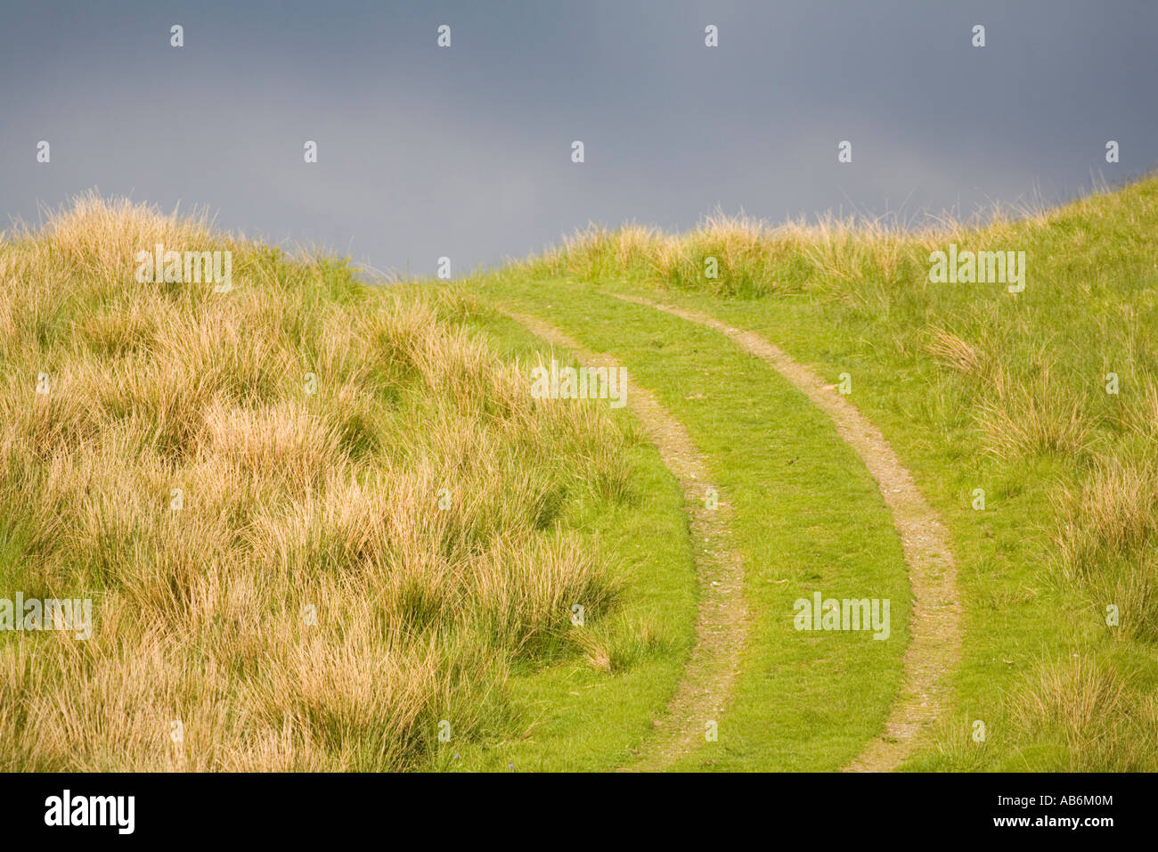 Track going up hillside Stock Photo - Alamy