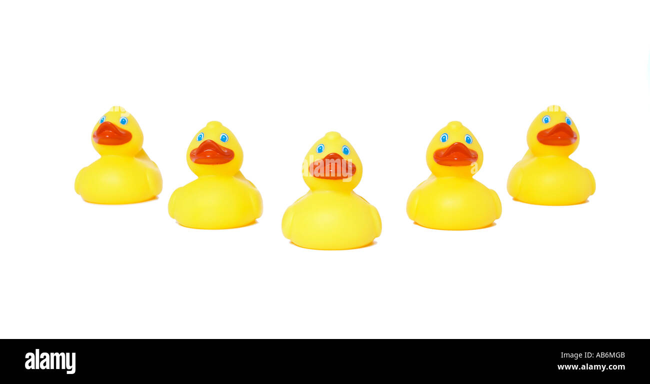 Studio shot of rubber ducks Stock Photo - Alamy