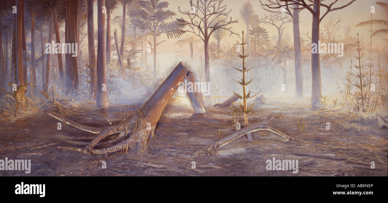 Coal forest diorama Stock Photo - Alamy