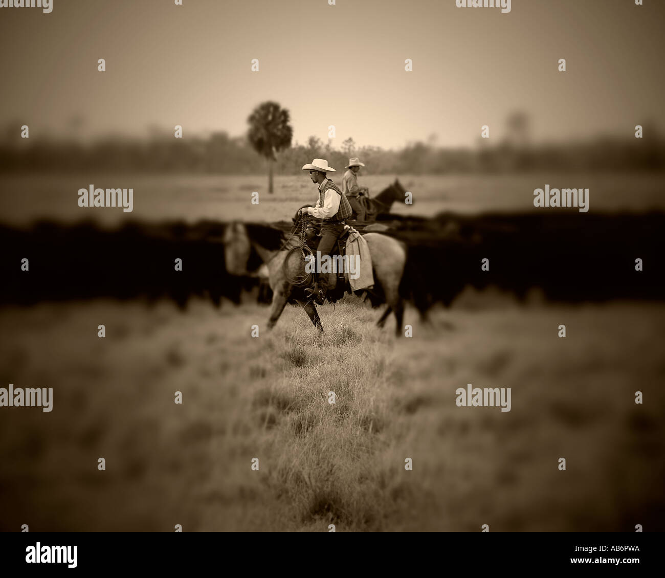 Range Rider 2 Stock Photo - Alamy