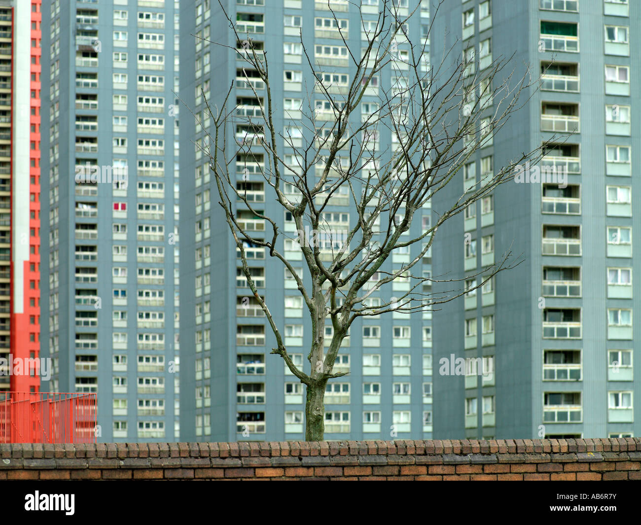 High Rise Flats in Glasgow Stock Photo - Alamy