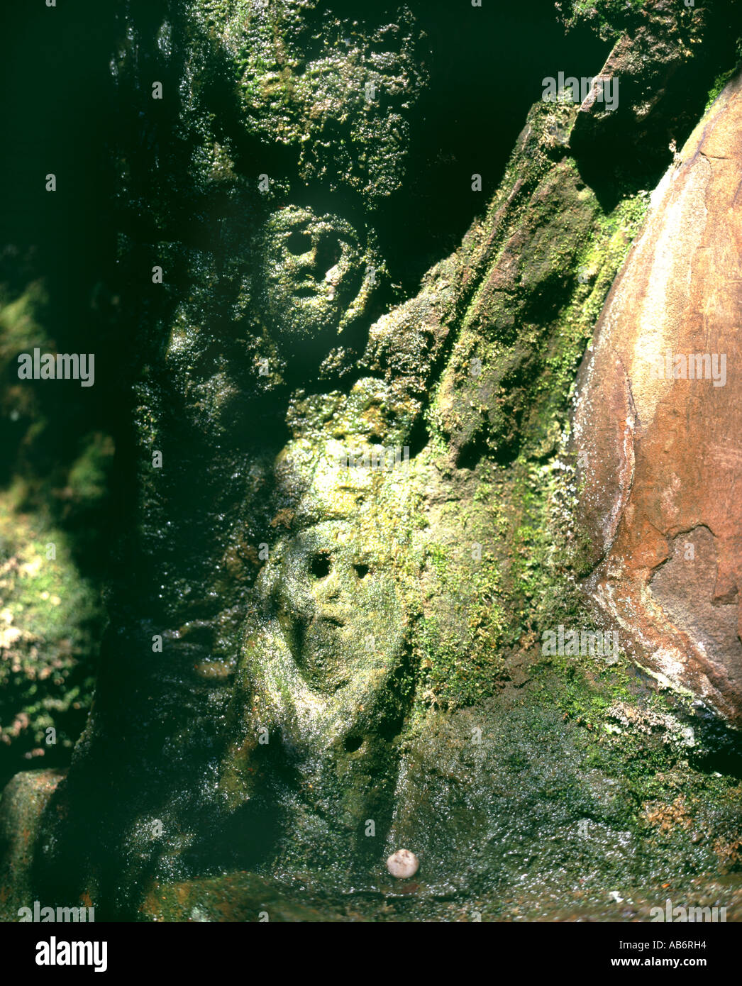 ancient carvings of pre christian faces tarren deusant near llantrisant ...