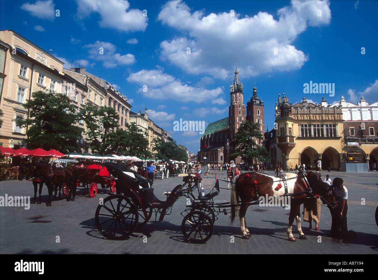 Krakow Cracow Cracof Poland Main Square Rynek Glowny Horse and ...