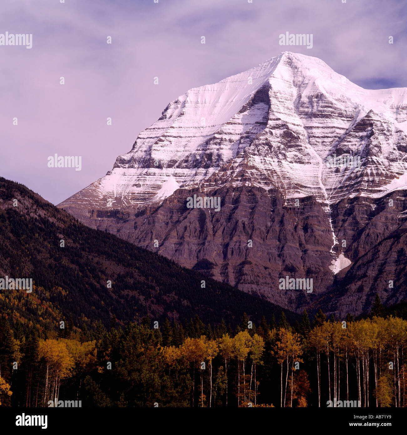 Mount Robson in Mount Robson Provincial Park in Canadian Rockies along ...