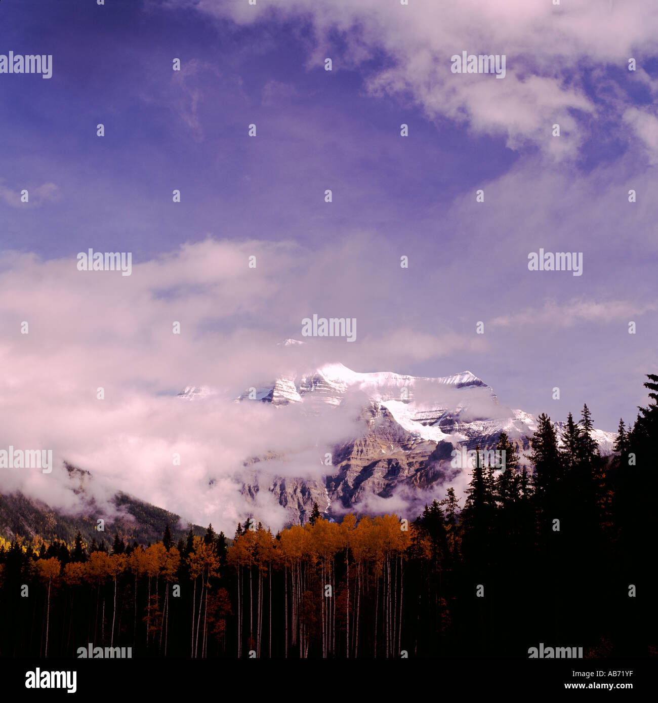 Mount Robson in Mount Robson Provincial Park in Canadian Rockies along ...