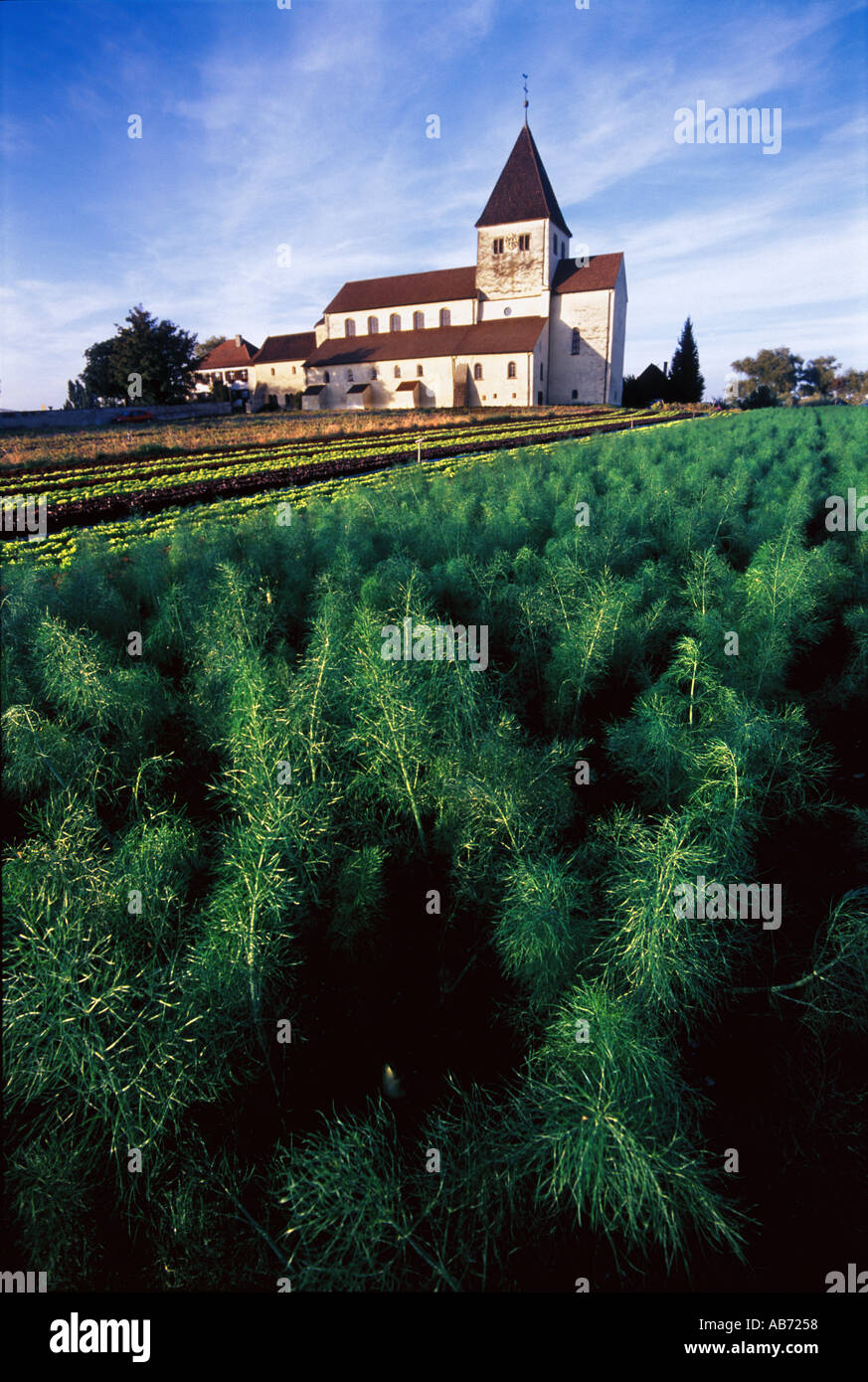 George Lam High Resolution Stock Photography and Images - Alamy