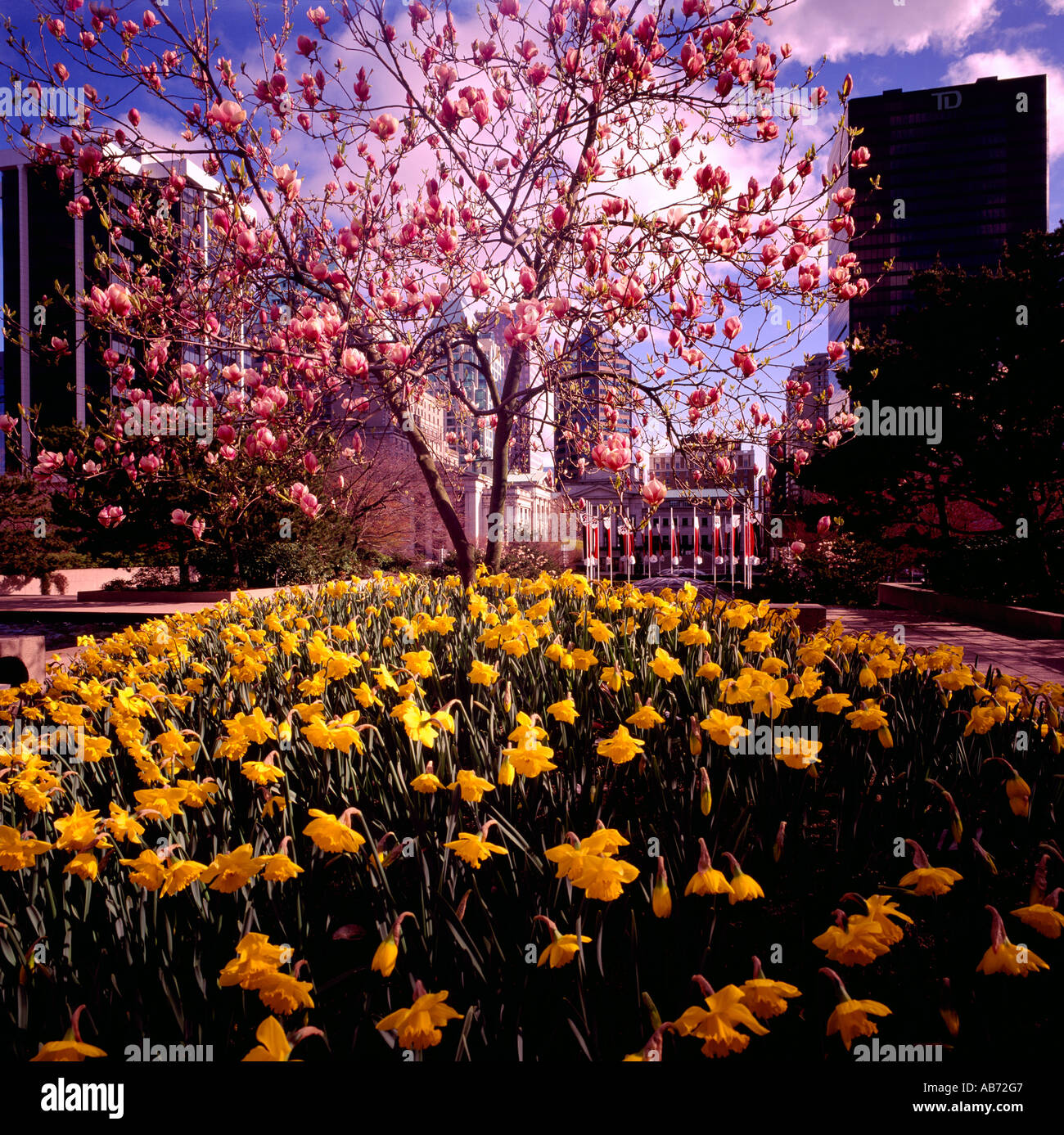 Robson plaza hi-res stock photography and images - Alamy