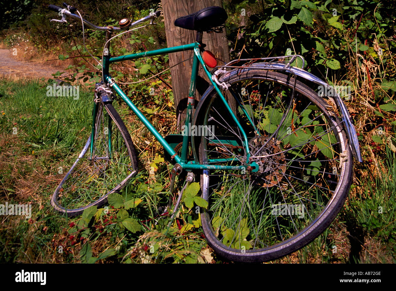 A Crumpled Bicycle after a Road-side Accident in British Columbia ...
