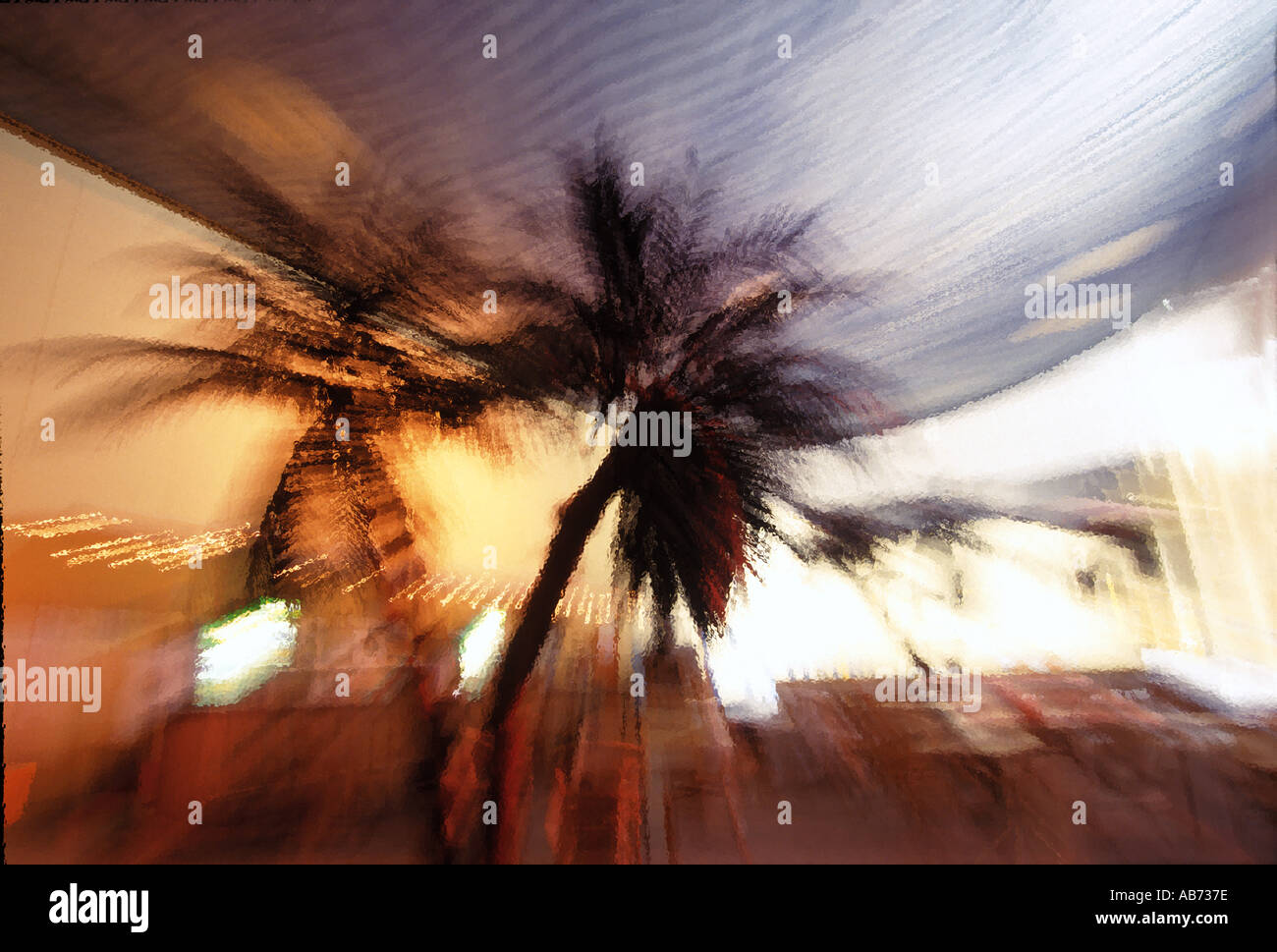 Zoom palm tree blur Plus glass effect Stock Photo - Alamy