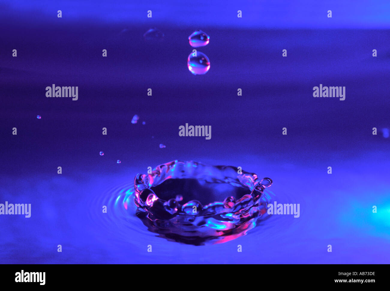 WATER DROPLET SPLASHING INTO WATER Stock Photo - Alamy