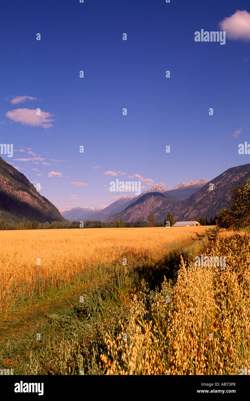British columbia farm scenes hi-res stock photography and images - Alamy
