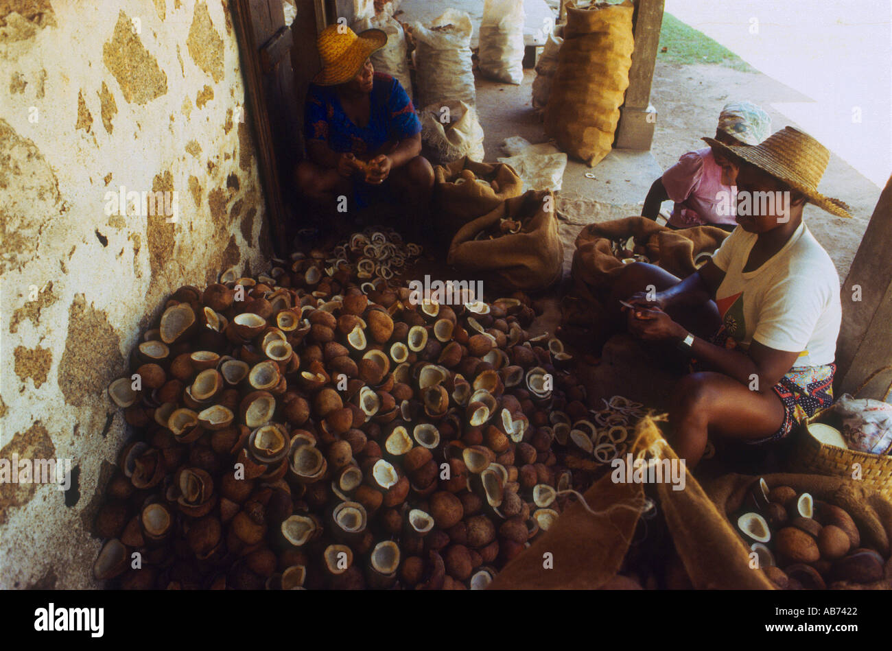 Coconut workers in the Seychelles Stock Photo - Alamy