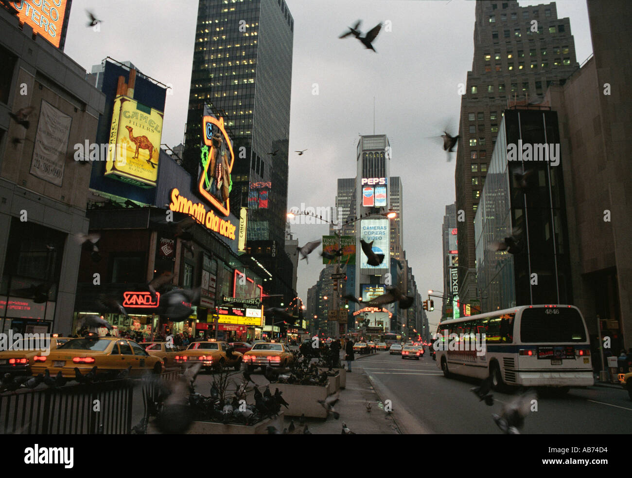 New York USA 1993 Pigeons in Times Square Stock Photo - Alamy