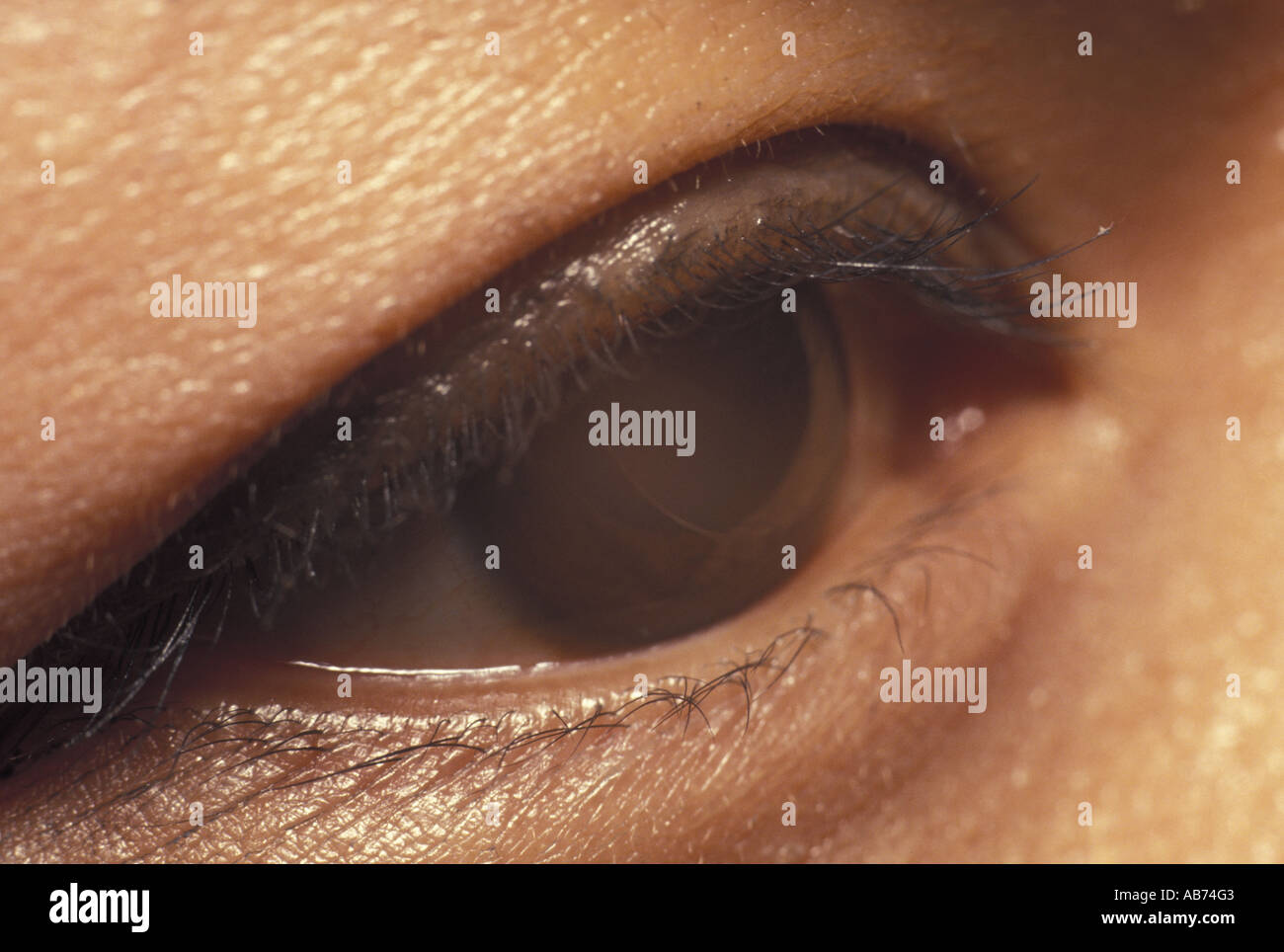 People Body Part Eye Stock Photo - Alamy