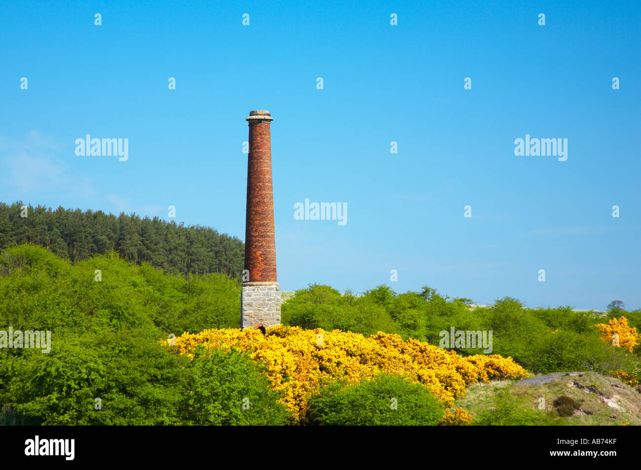 England Northumberland Ford Moss Ford Moss a nature reserve managed by ...