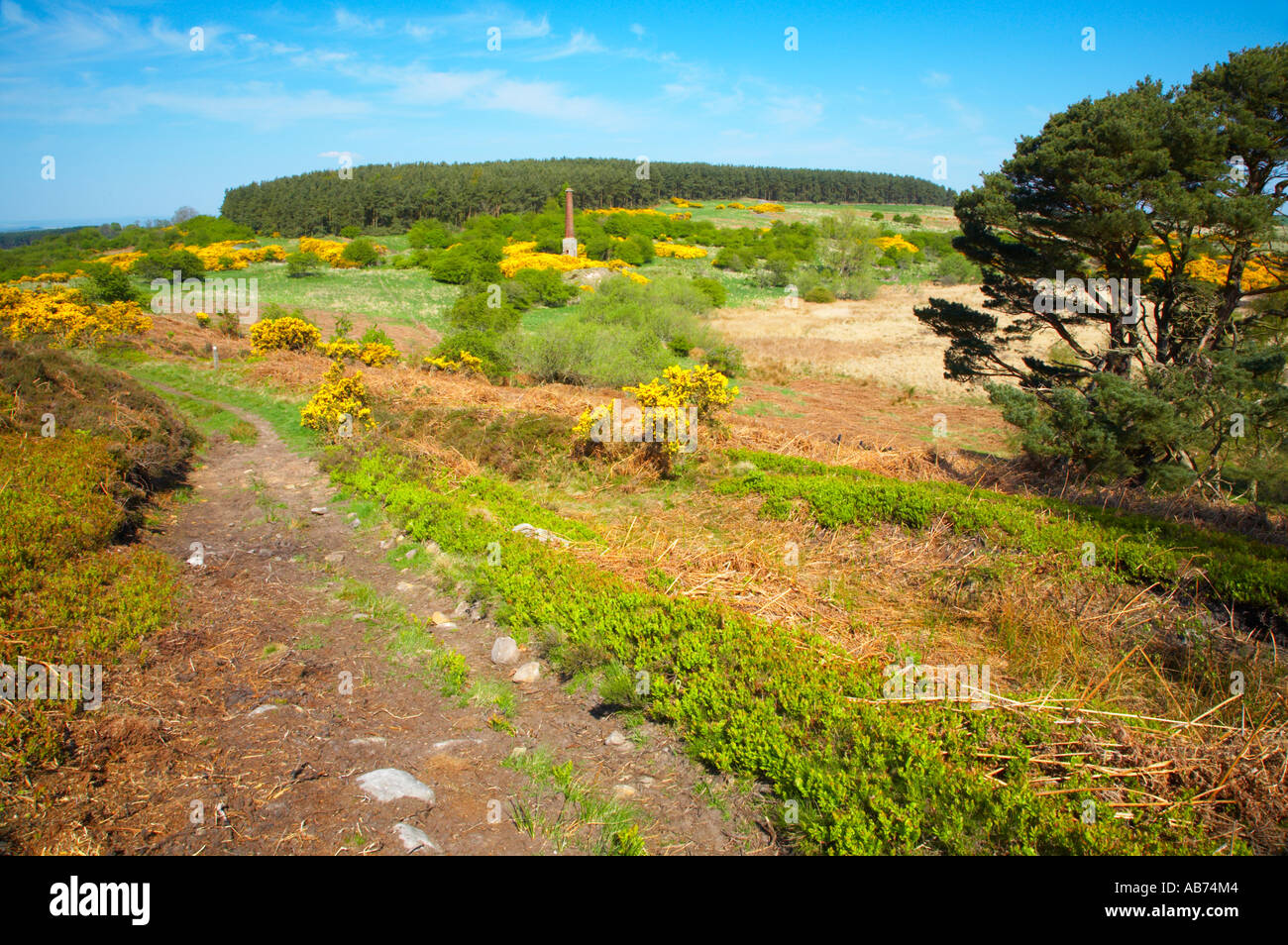 England Northumberland Ford Moss Ford Moss a nature reserve managed by ...
