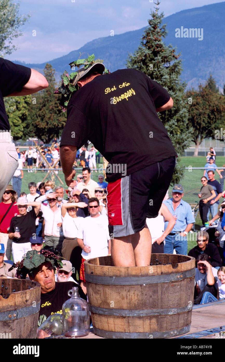 Grape Stomping Contest Stock Photos & Grape Stomping Contest Stock ...