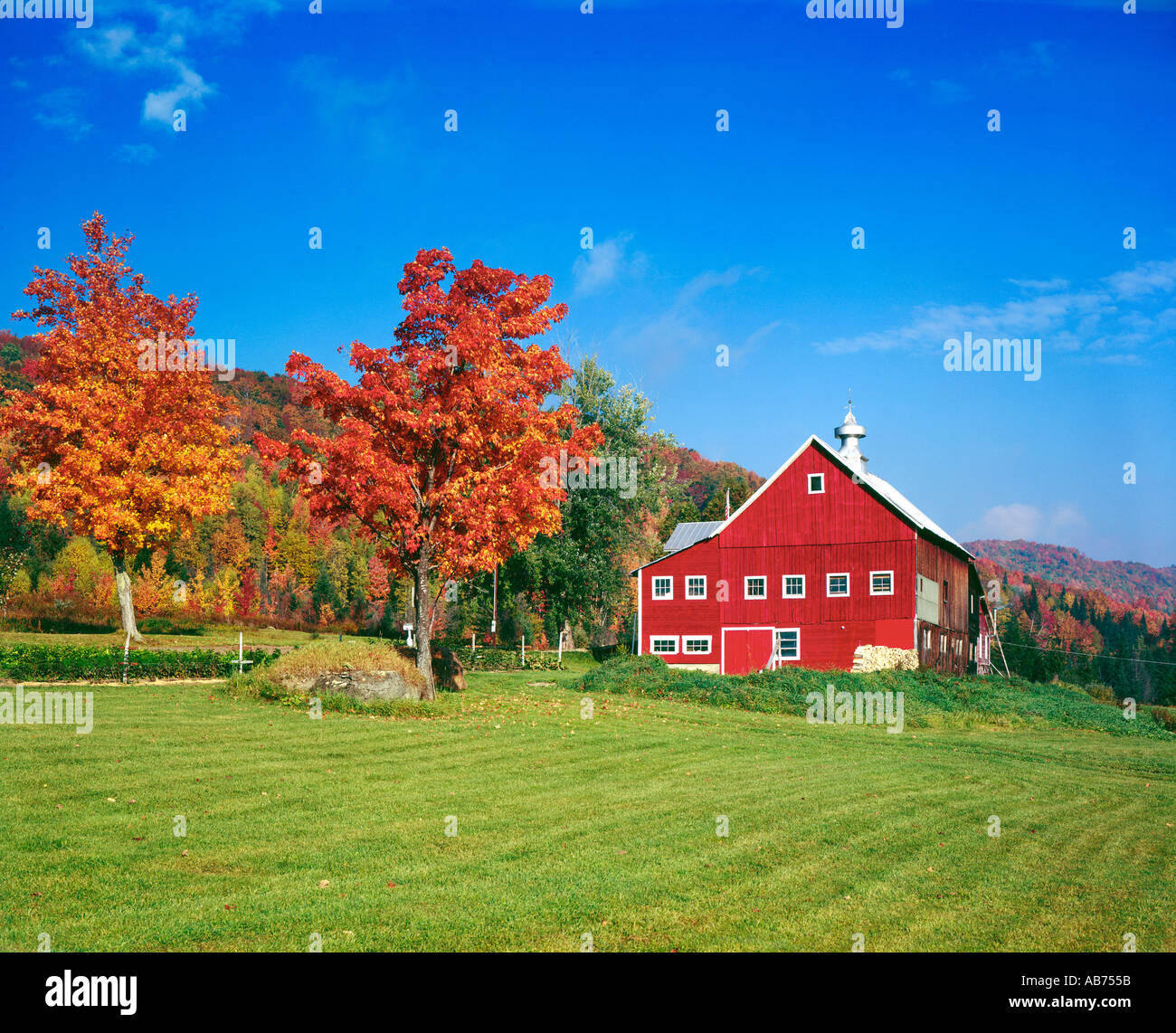 red farmhouse in Vermont USA during fall foliage season Stock Photo - Alamy