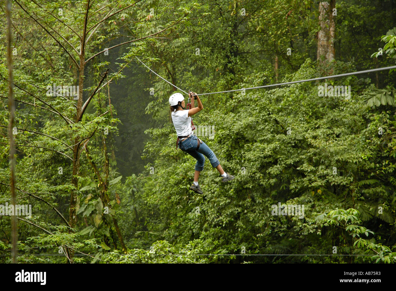 Tourist on a canopy cable ride, Monteverde, Santa Elena, Costa Rica ...