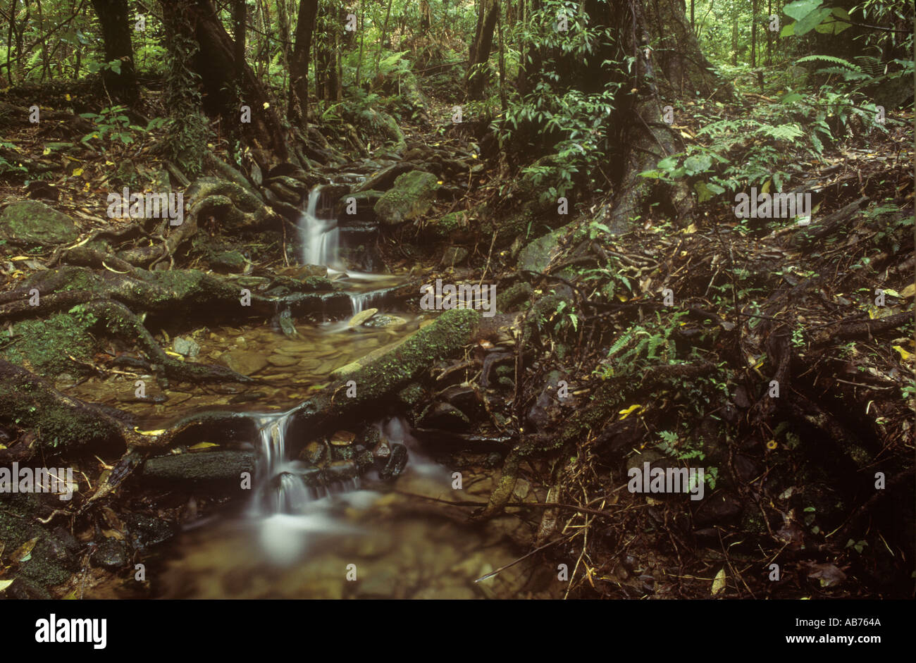 Typical nz scene hi-res stock photography and images - Alamy