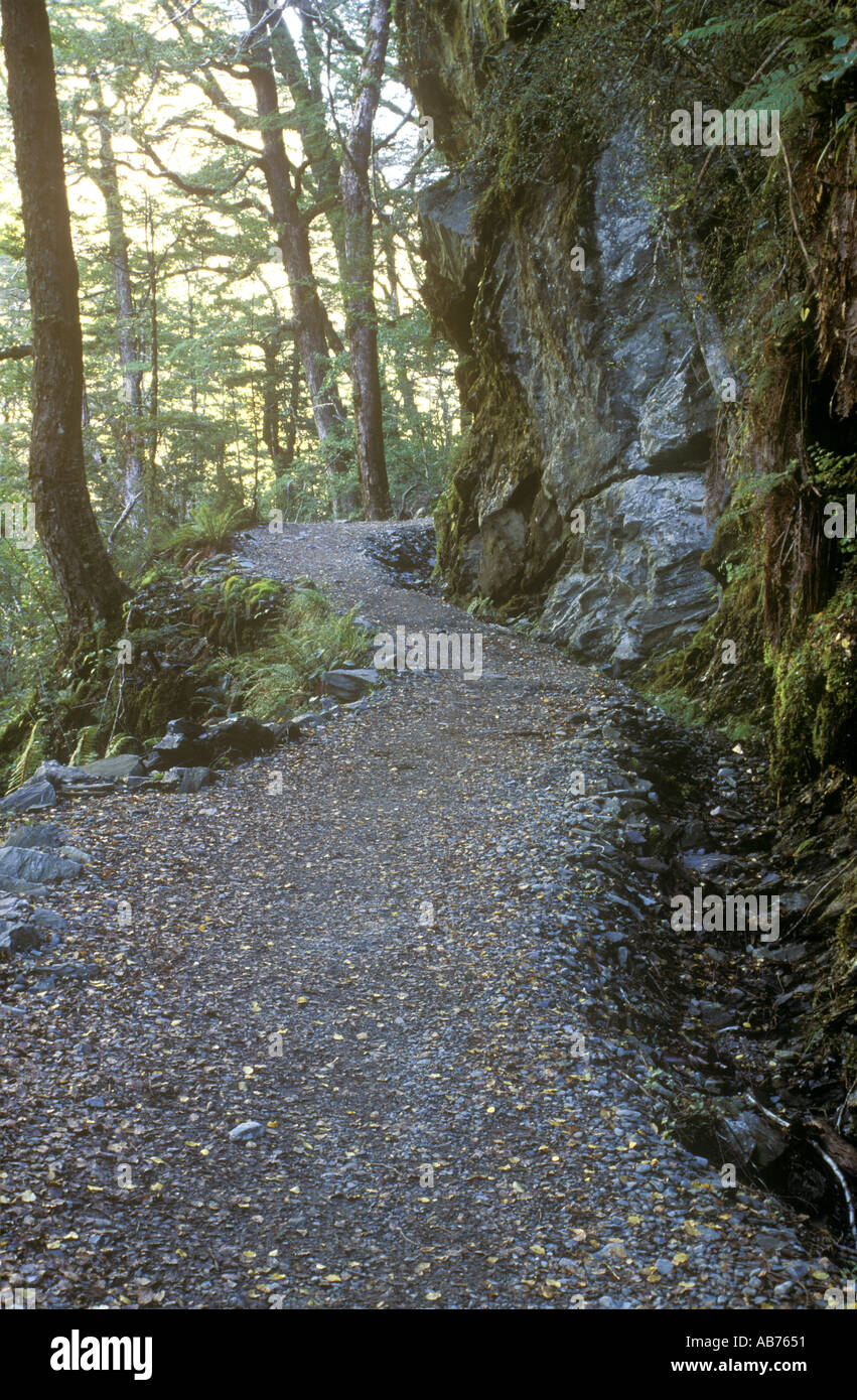 NEW ZEALAND Otago Mt Aspiring National Park The well formed twisting ...