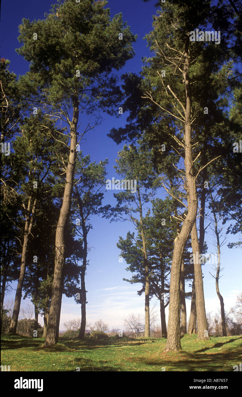 ITALY Rome Parco Naturale Del Complesso Lacuale Di Bracciano E ...