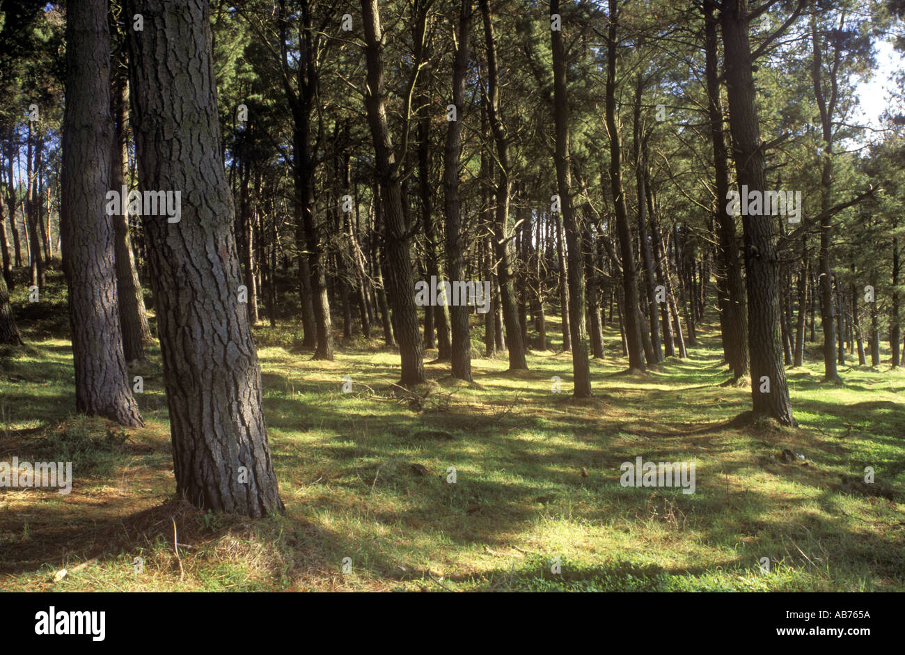 ITALY Rome Parco Naturale Del Complesso Lacuale Di Bracciano E ...