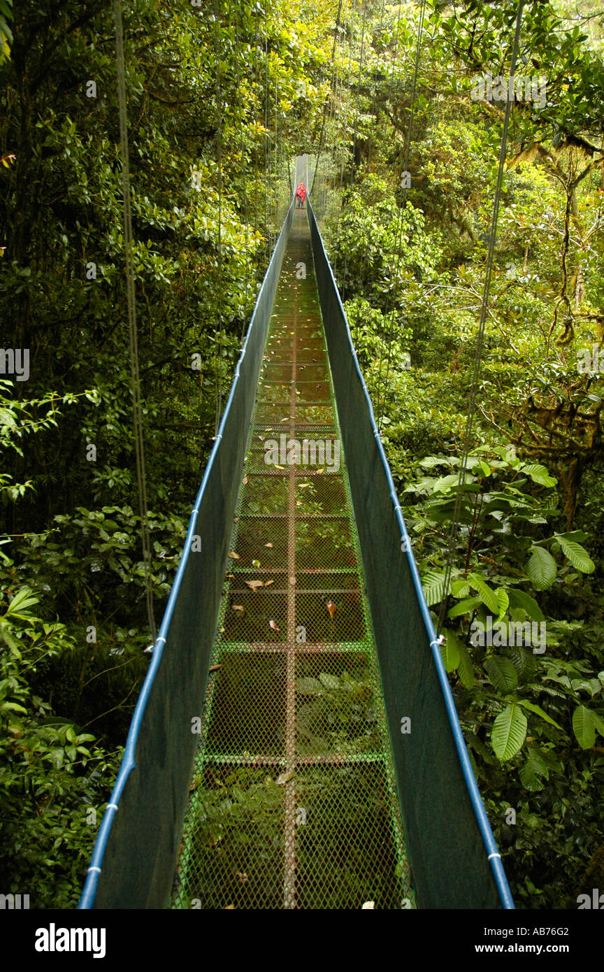 Suspension Bridge in cloud forest canopy, Monteverde, Santa Elena ...