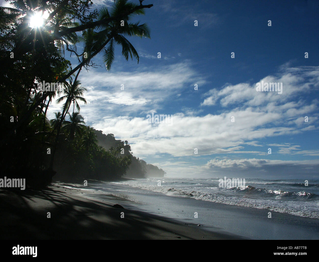 Palmtrees on beach in southern Costa Rica, Puntarenas Province, Central ...