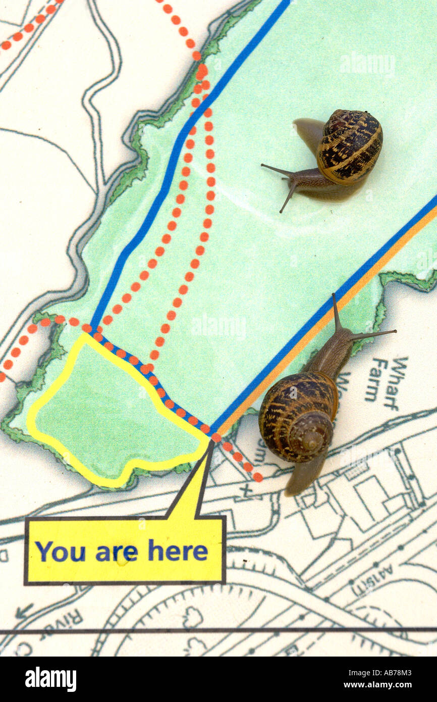 Garden snail Helix aspersa on map display panel North Meadow National ...