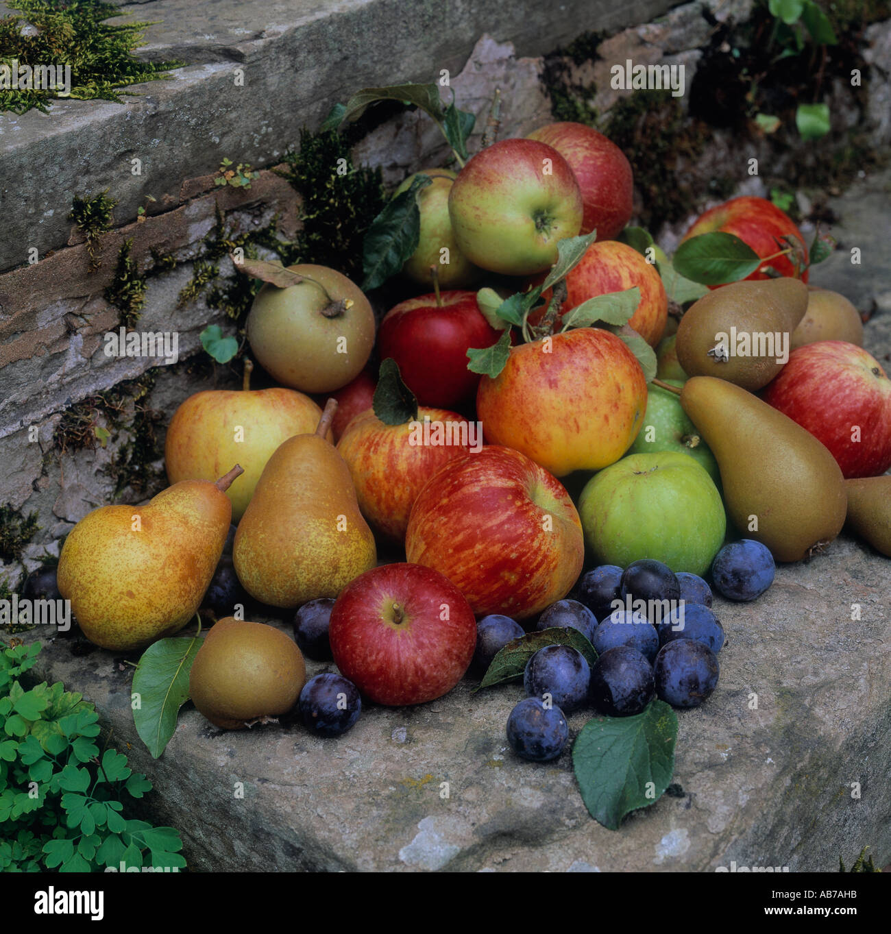 English summer fruit Stock Photo - Alamy