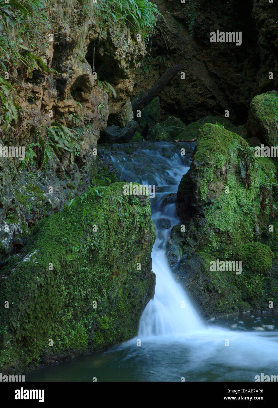 Waterfall, Castle-Eden Dene, Durham Stock Photo - Alamy