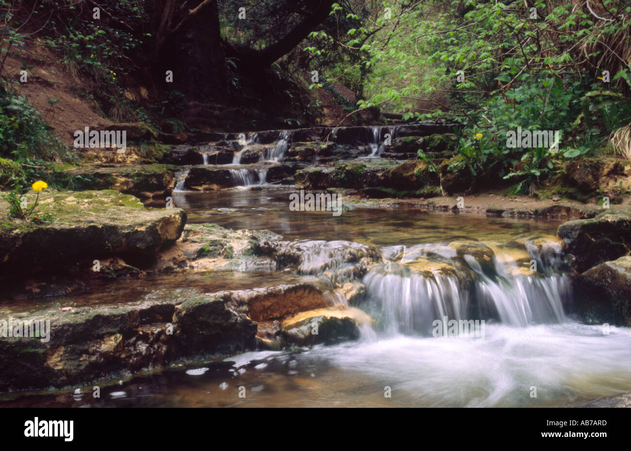 Cascading limestone waterfall with will wild plants and rock pool in ...