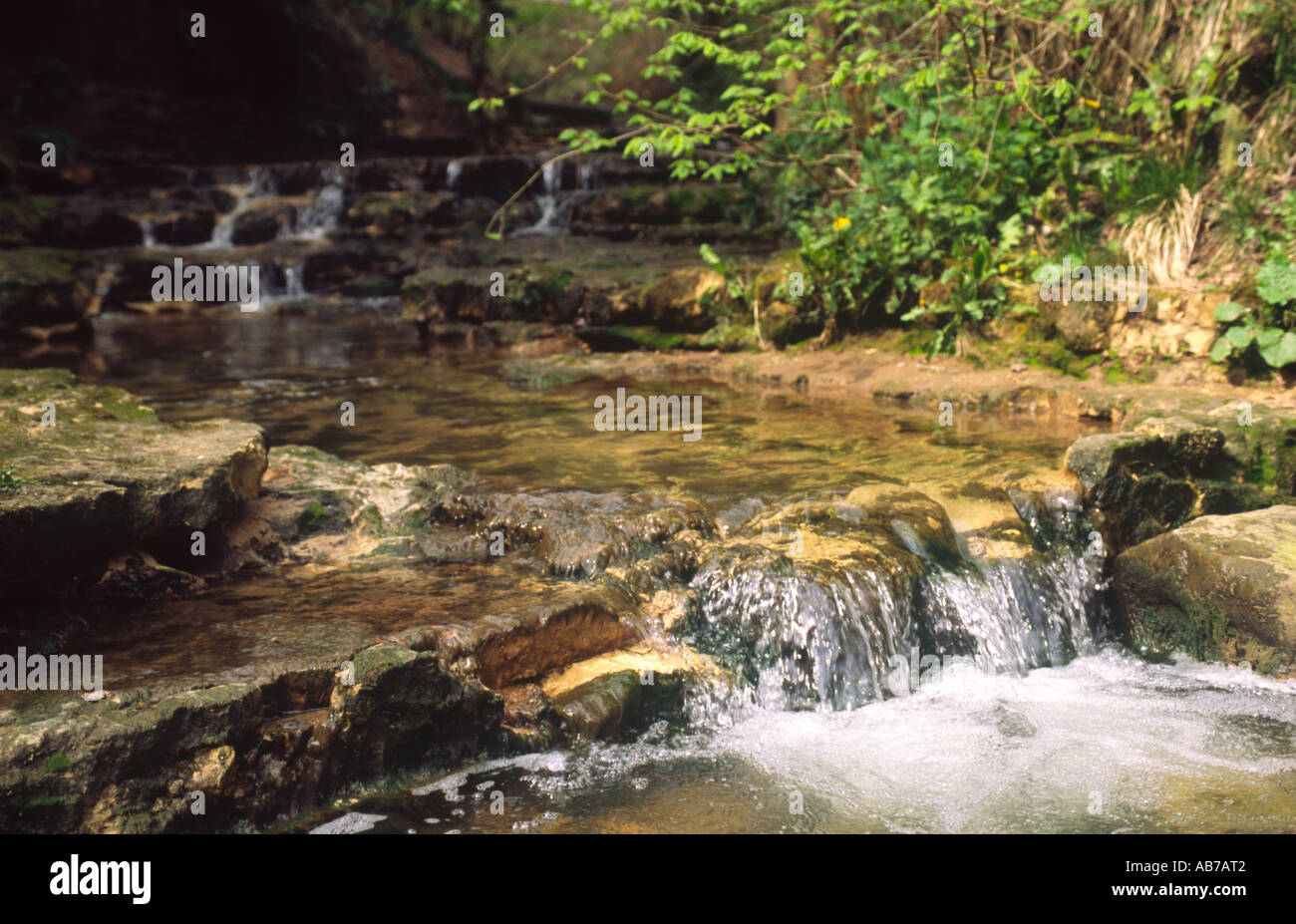 Limestone waterfalls,Castle-Eden Dene,County Durham Stock Photo - Alamy