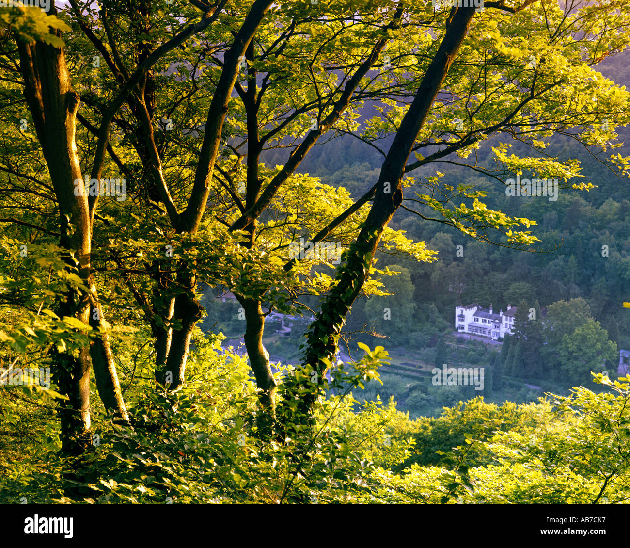 Symonds yat autumn hi-res stock photography and images - Alamy