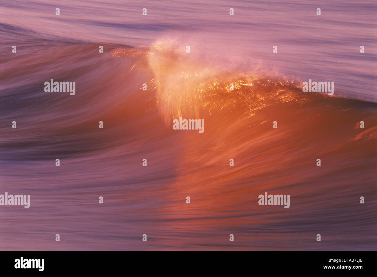 Sunrise light against incoming wave Stock Photo - Alamy