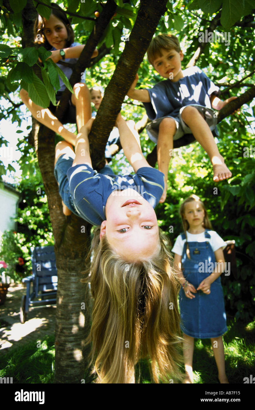 Kids playing in tree Stock Photo - Alamy