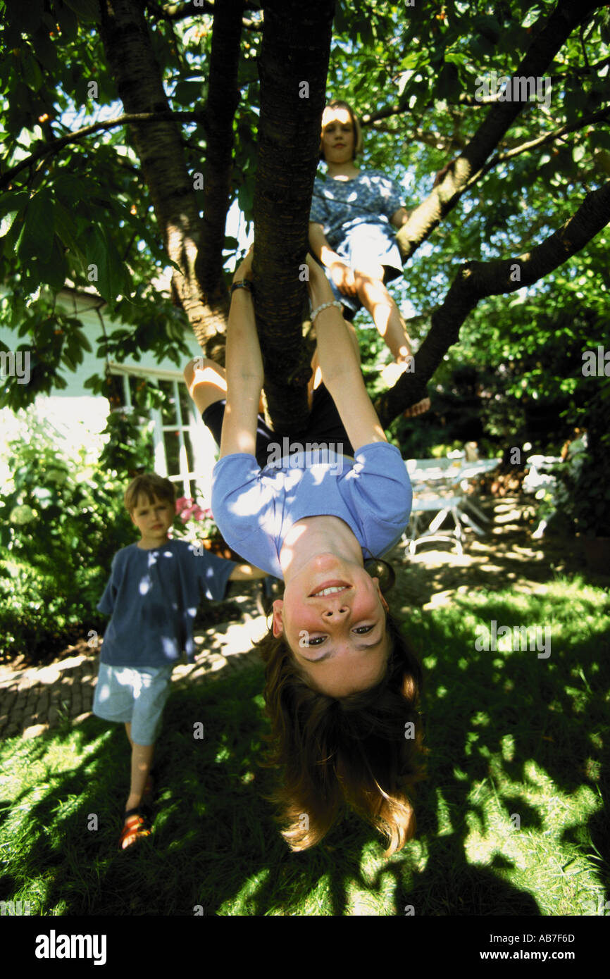 Kids playing in tree Stock Photo - Alamy