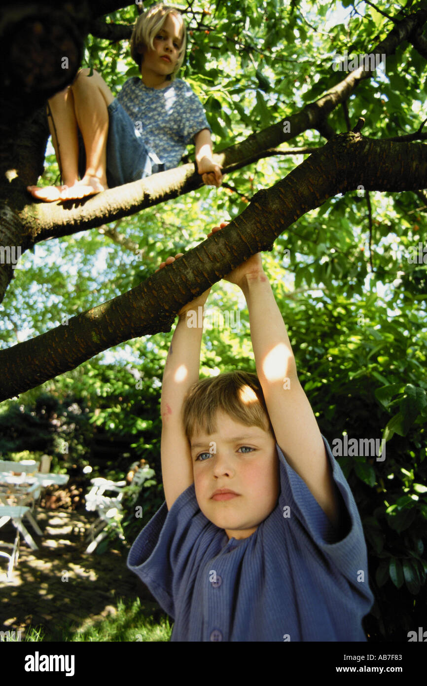 Kids on tree Stock Photo - Alamy