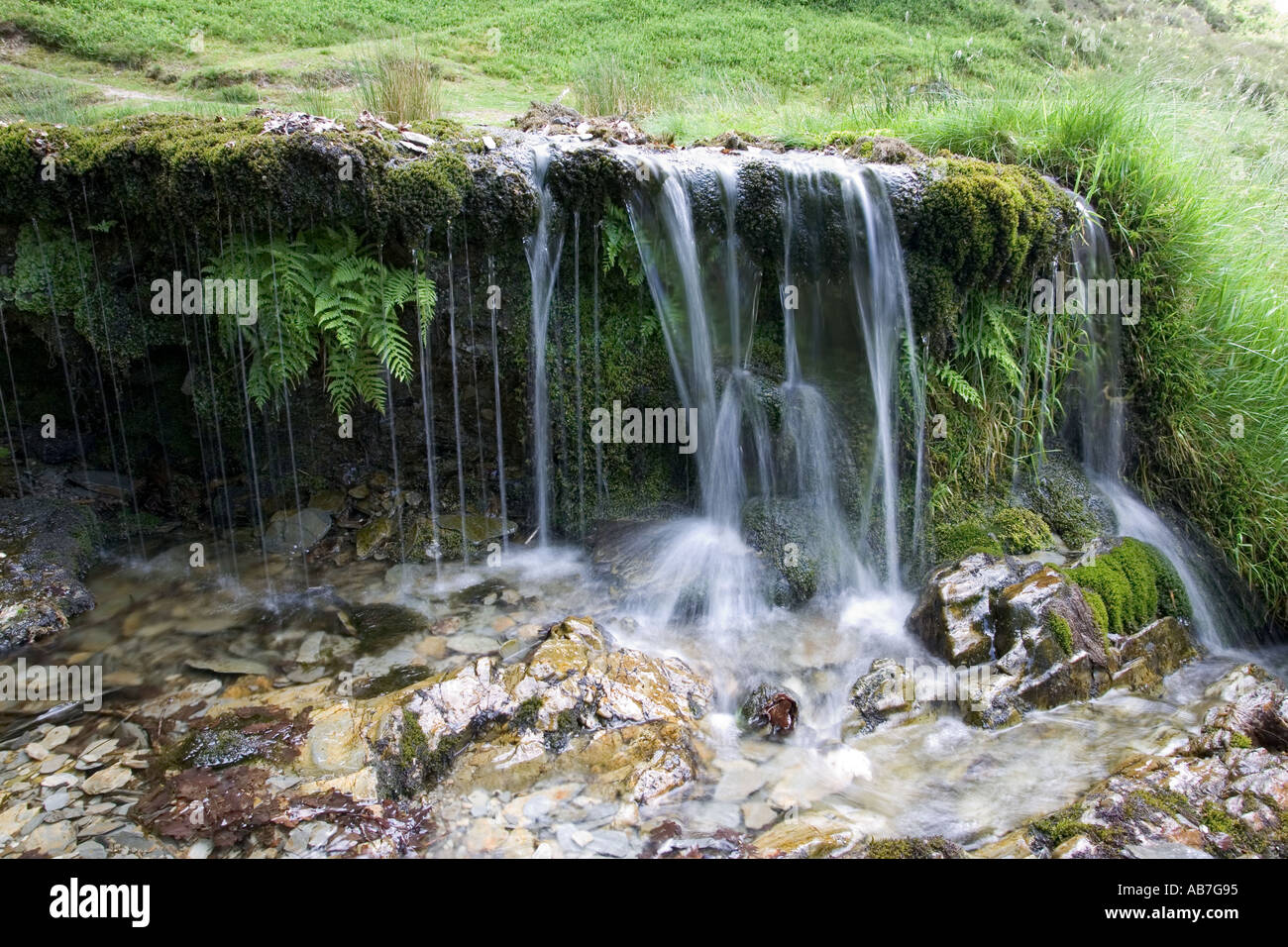 Small stream with moss covered rocks in old oak woodland Elan Valley ...