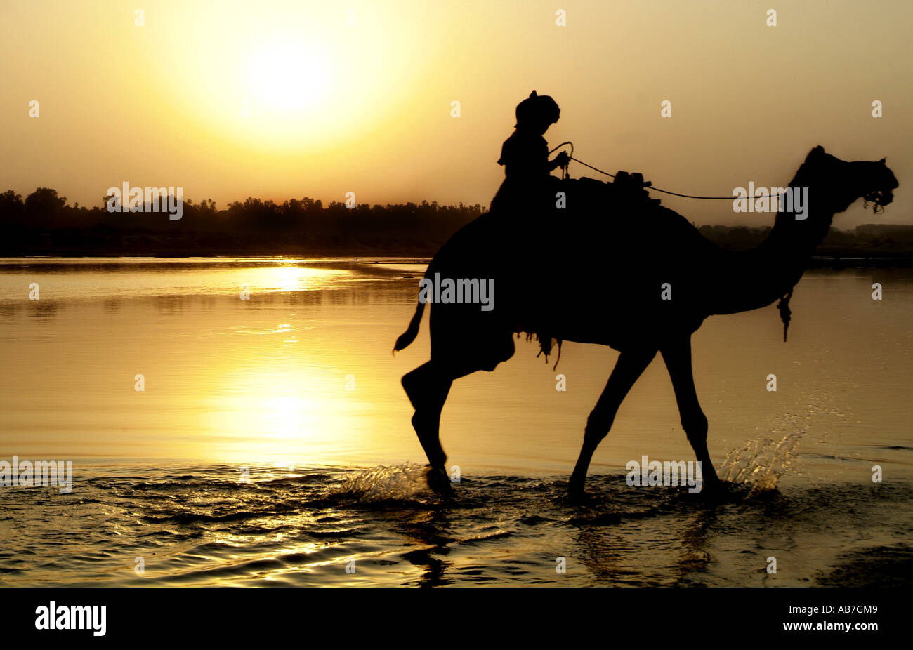Person riding camel silhouette hi-res stock photography and images - Alamy