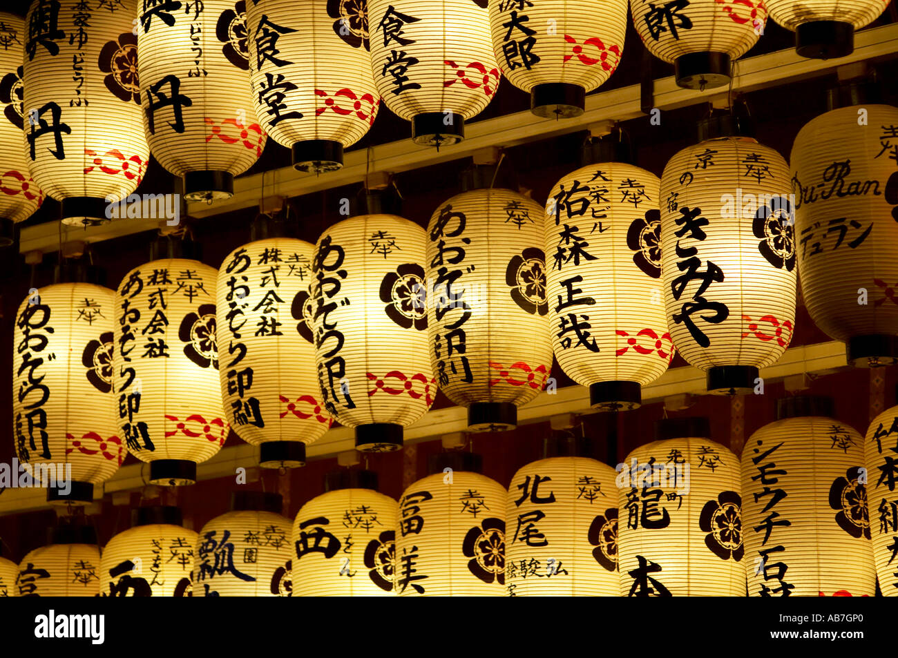 Japanese Lantern Flies