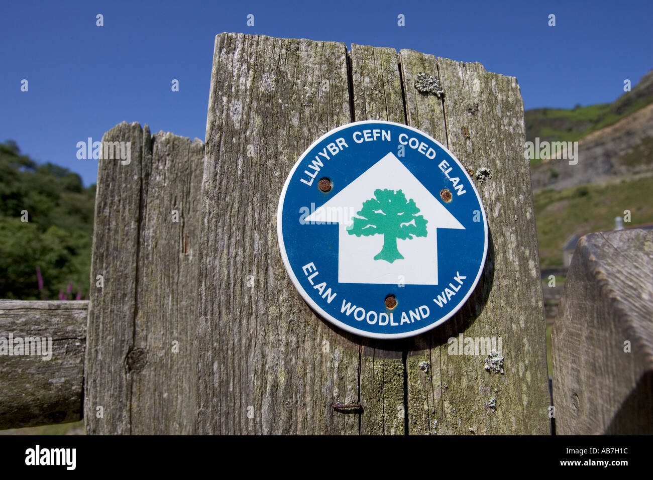 Waymark sign llwybr cefn coed for Elan woodland walk near Caban Coch ...